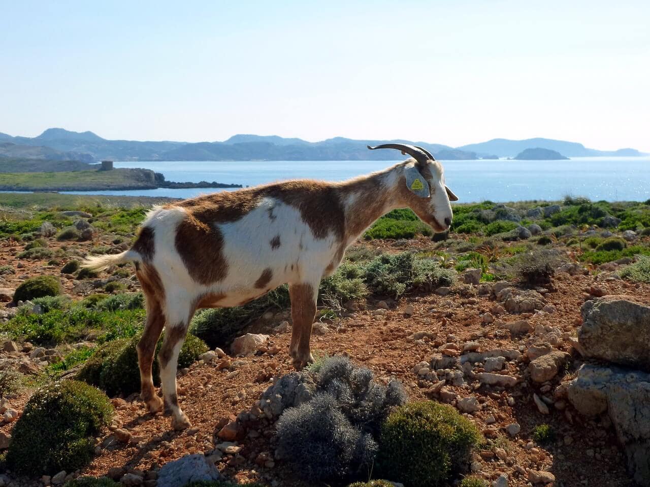 Menorca een heerlijk eiland om te ontdekken - vakantieroute